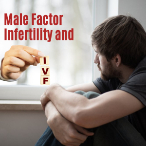 Male Factor Infertility and IVF